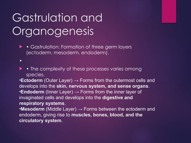 Developmental_Patterns_in_Embryology.pptx