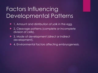 Developmental_Patterns_in_Embryology.pptx