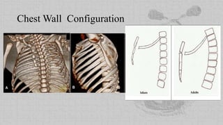 Developmental Physiology of the Respiratory System | PPTX