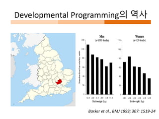 (마더리스크라운드) Developmental programming | PPT