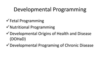 (마더리스크라운드) Developmental programming | PPT