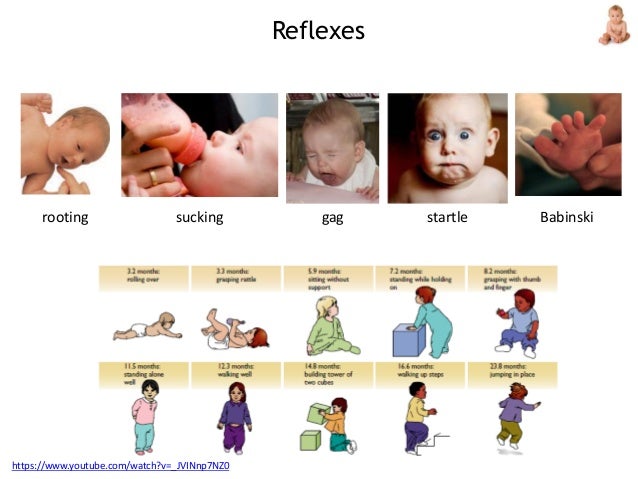 Developmental psychology