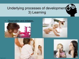 Developmental psychology | PPT