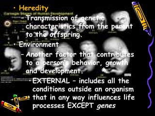 DEVELOPMENTAL PSYCHOLOGY | PPT | Pregnancy | Reproductive Health