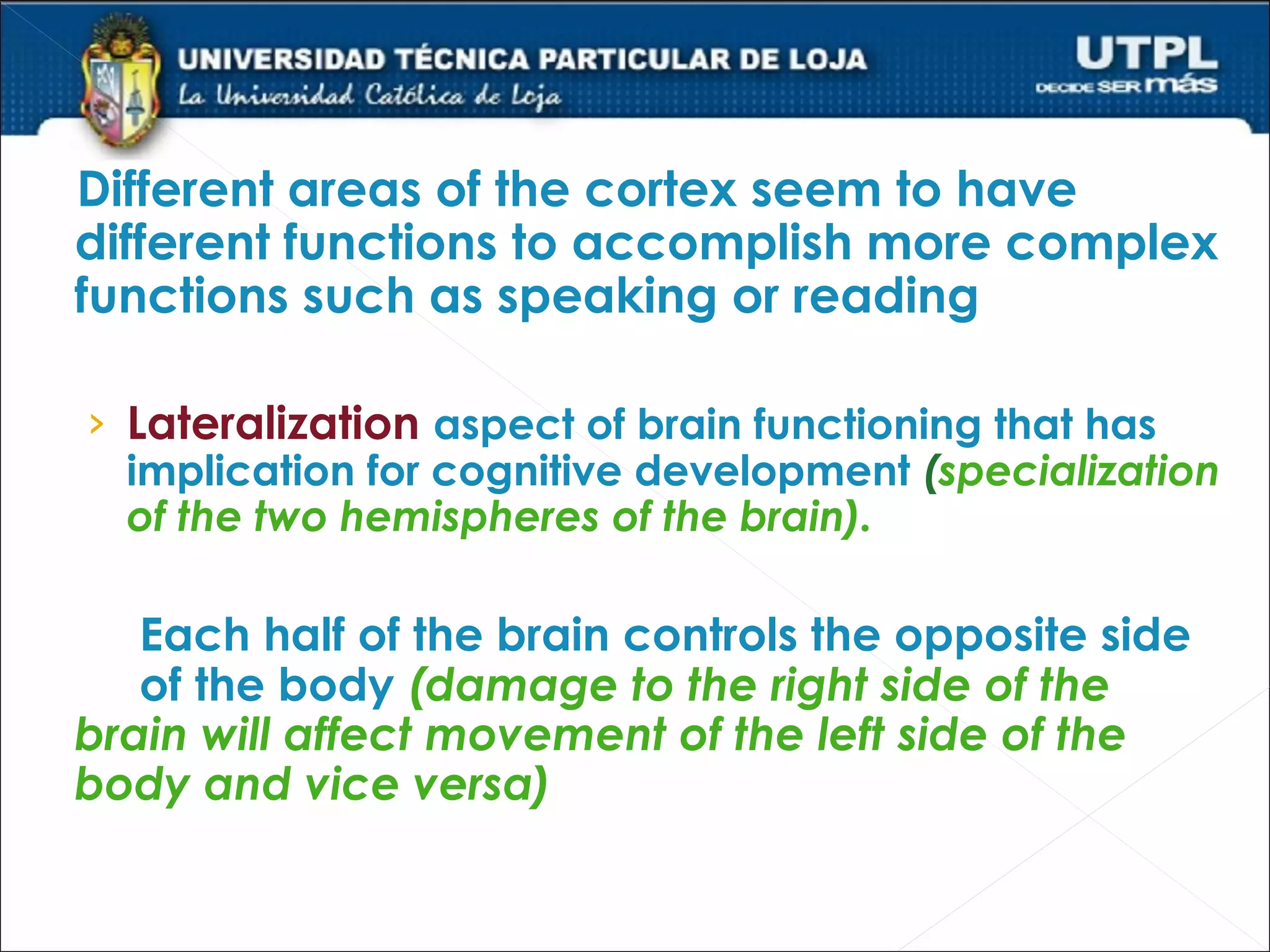 Developmental Psychology And Learning I Bim | PPT