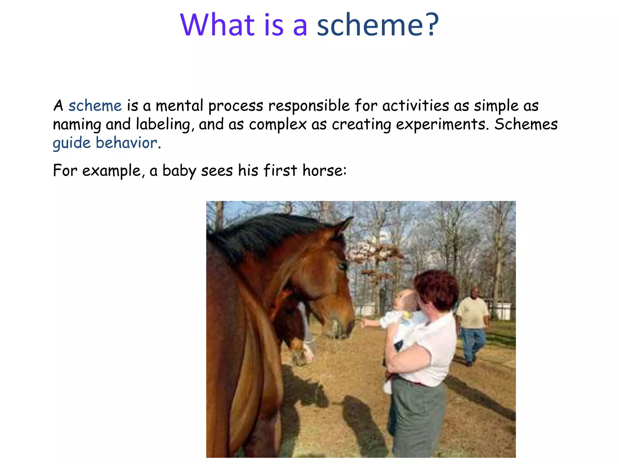 Developmental psychology from conception to birth and after an overview | PPTX