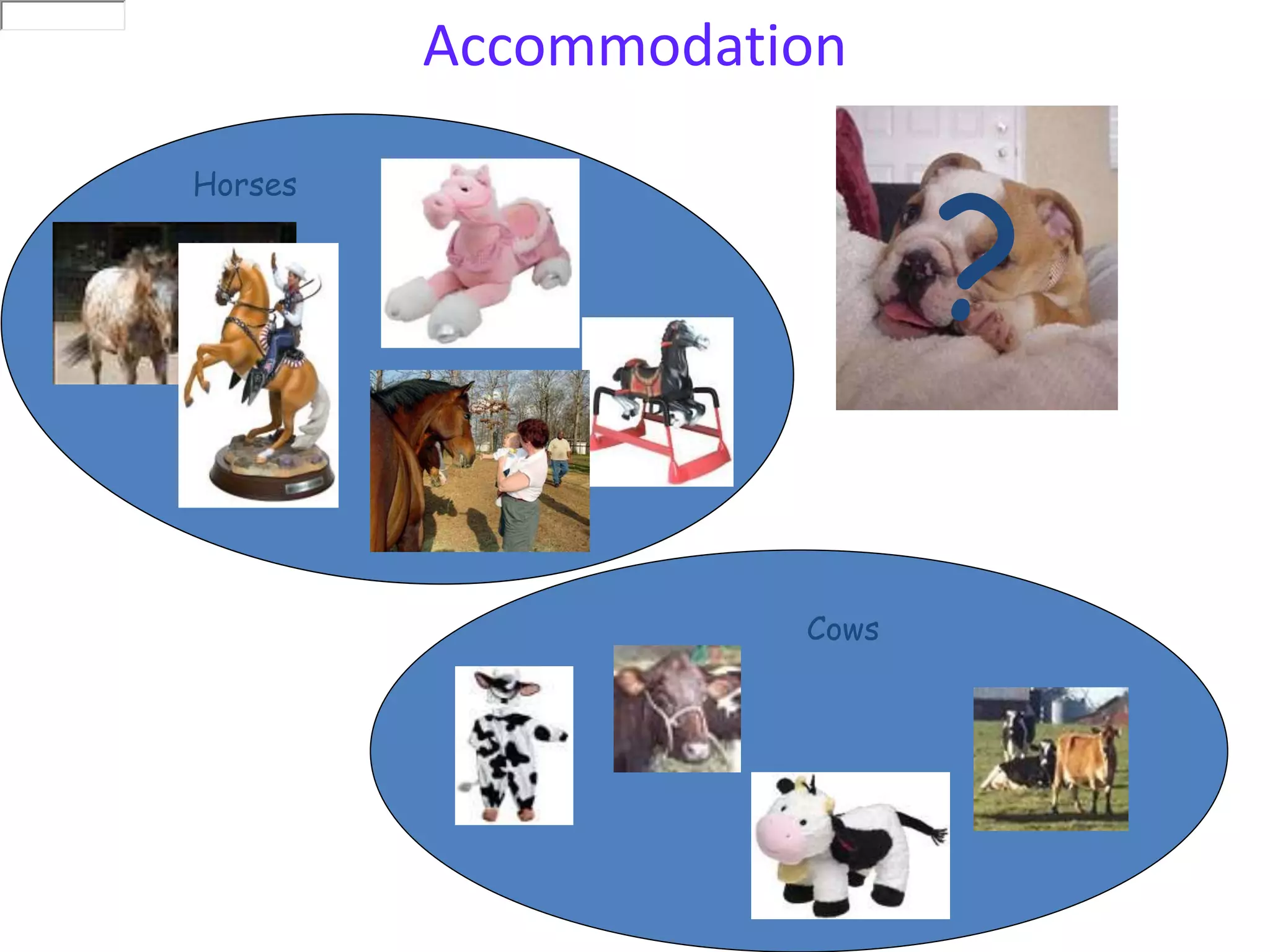 Developmental psychology from conception to birth and after an overview | PPT