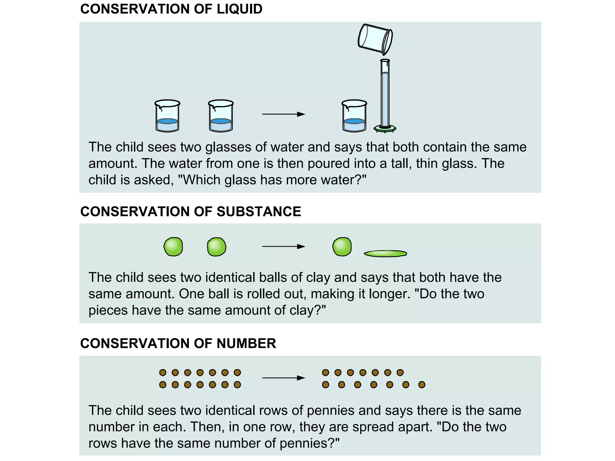 Developmental psychology from conception to birth and after an overview | PPTX