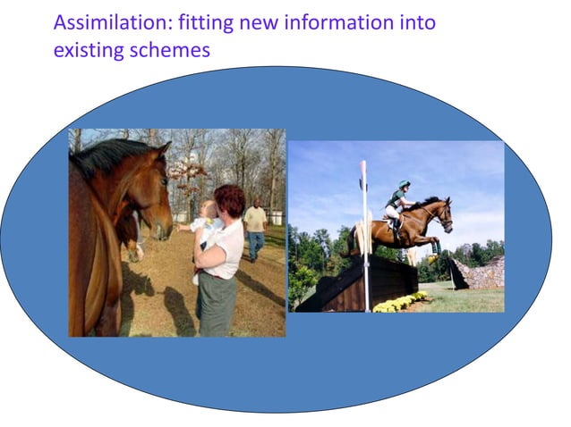 Developmental psychology from conception to birth and after an overview | PPTX