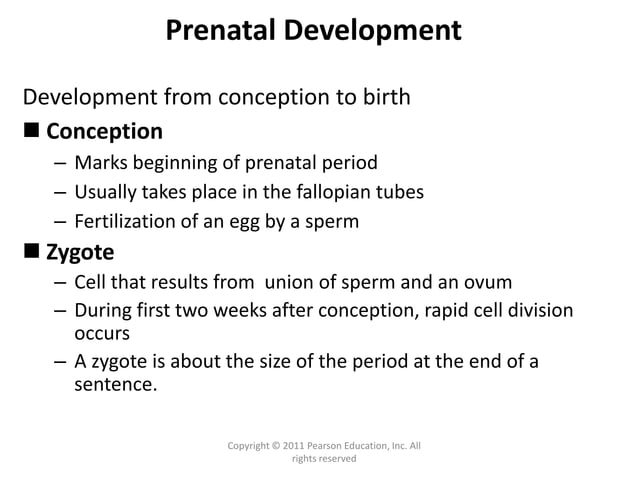 Developmental psychology from conception to birth and after an overview ...
