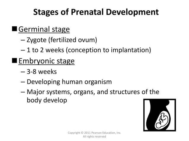 Developmental psychology from conception to birth and after an overview | PPT