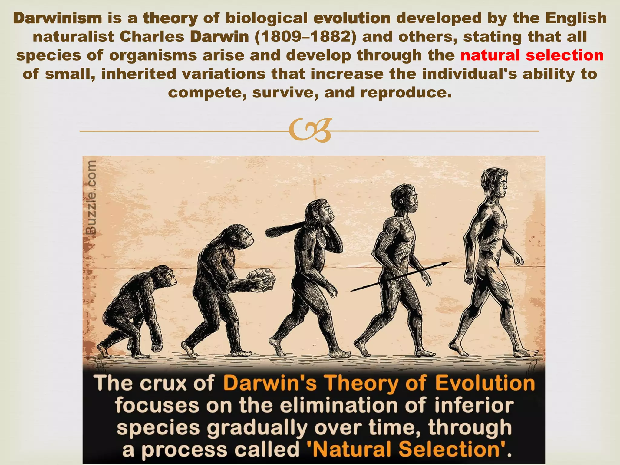 Developmental research Method | PDF