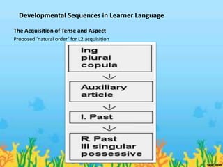 Developmental sequences in learner language | PPTX