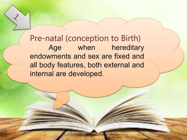 developmental stage.pptx