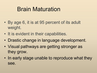 developmental stage in early childhood period | PPT