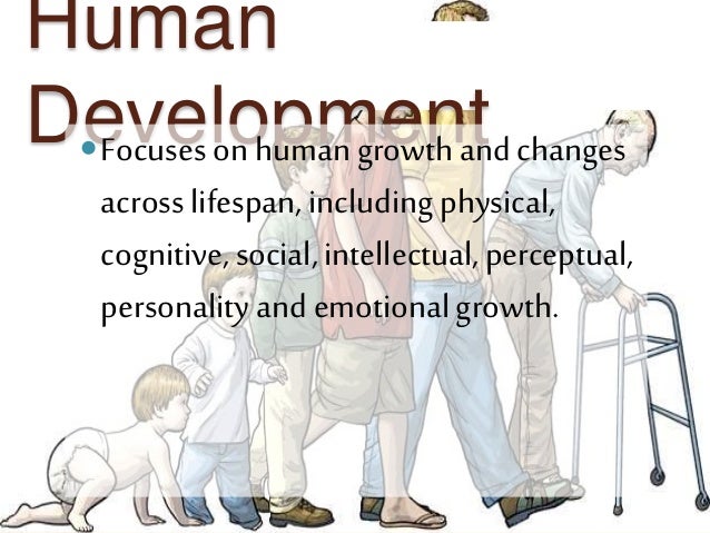 Developmental Stages