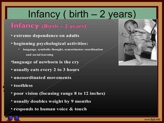 developmental stages personality development | PPT | Parenting Babies ...