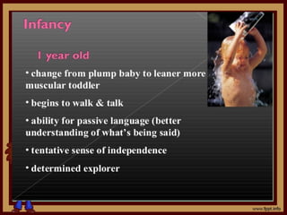 developmental stages personality development | PPT | Parenting Babies ...