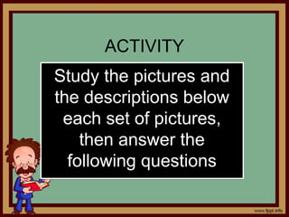 developmental stages personality development | PPT | Parenting Babies ...