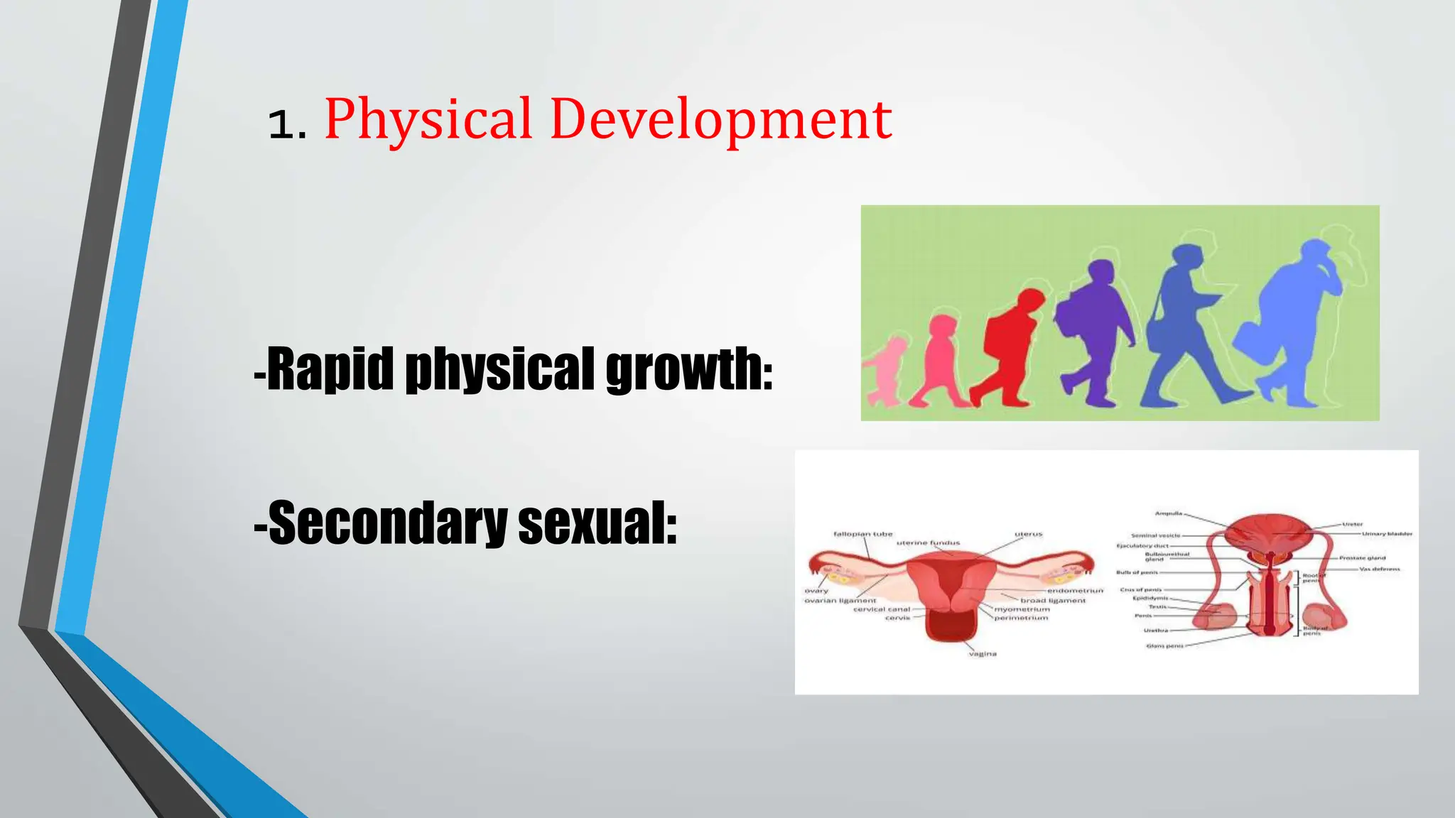 DEVELOPMENTAL STAGES IN MIDDLE & LATE ADOLESCENCE.pptx