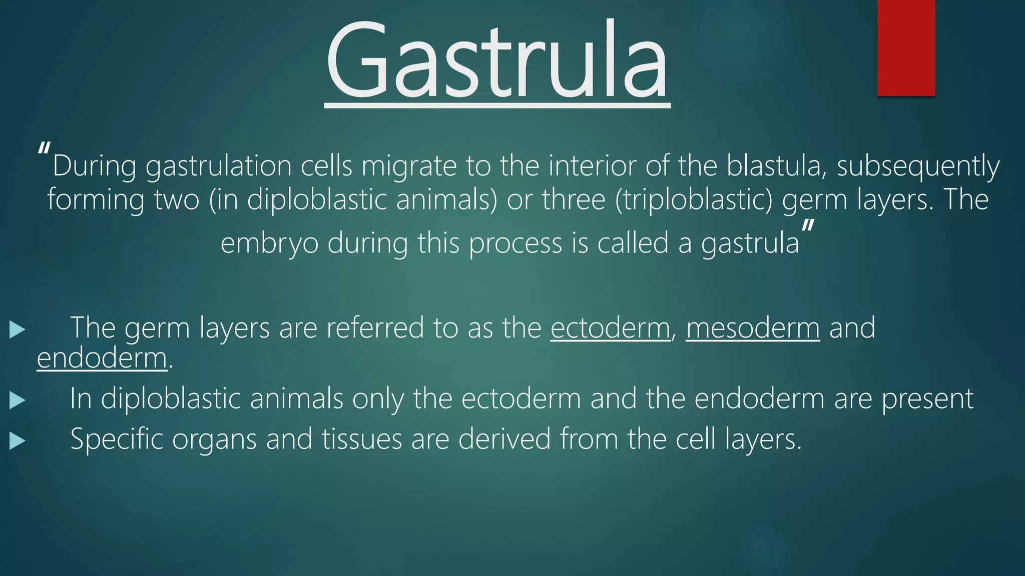Developmental stages of embryo | PPTX