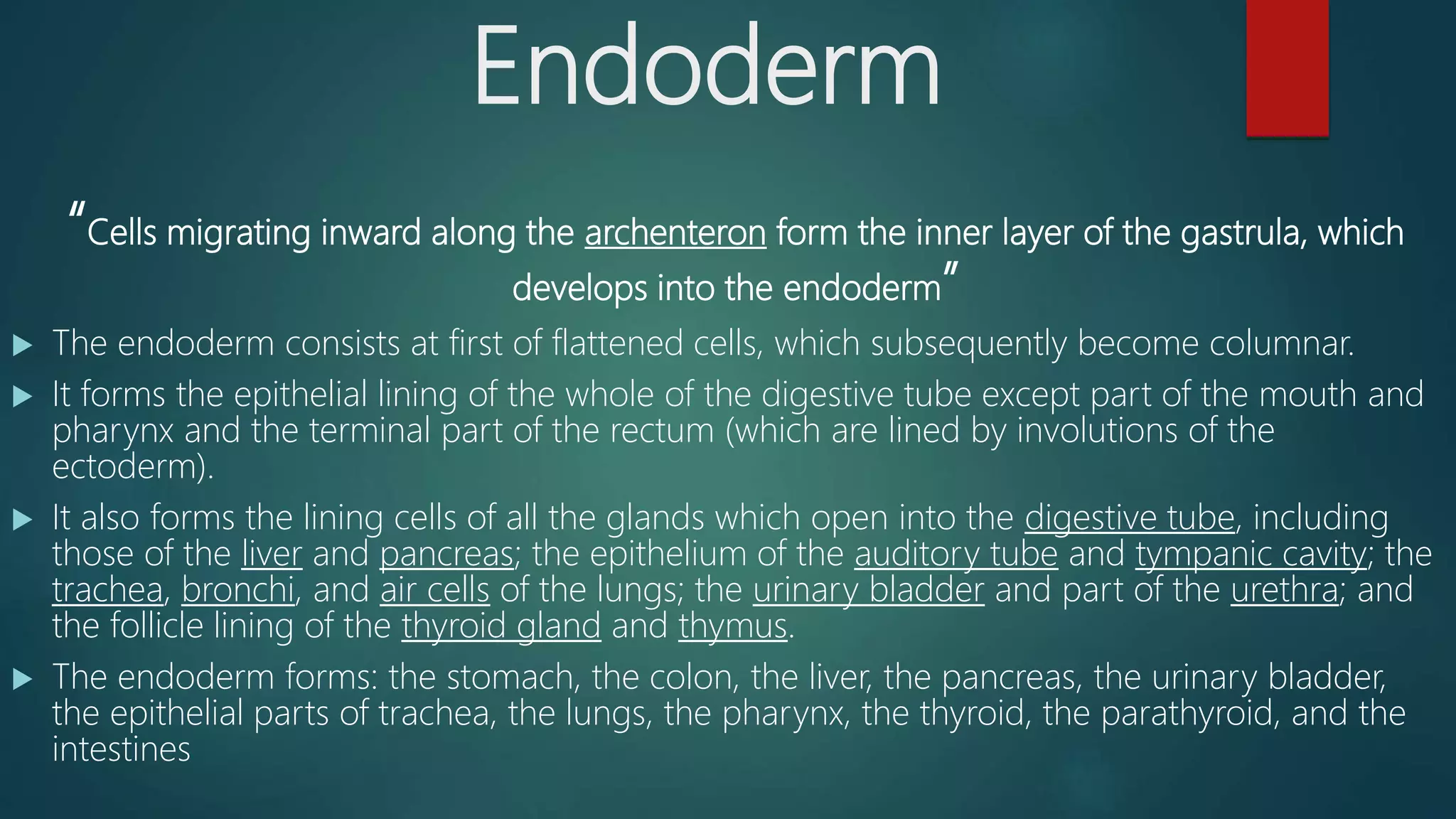 Developmental stages of embryo | PPTX