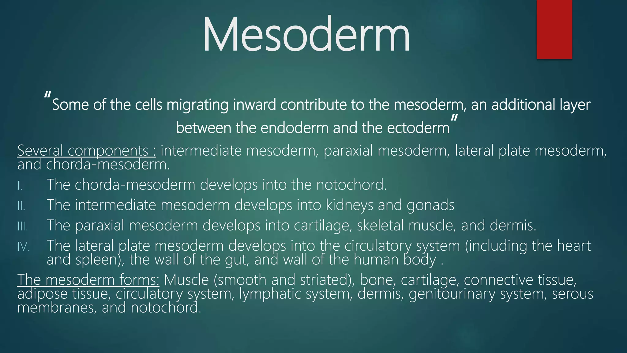 Developmental stages of embryo | PPTX
