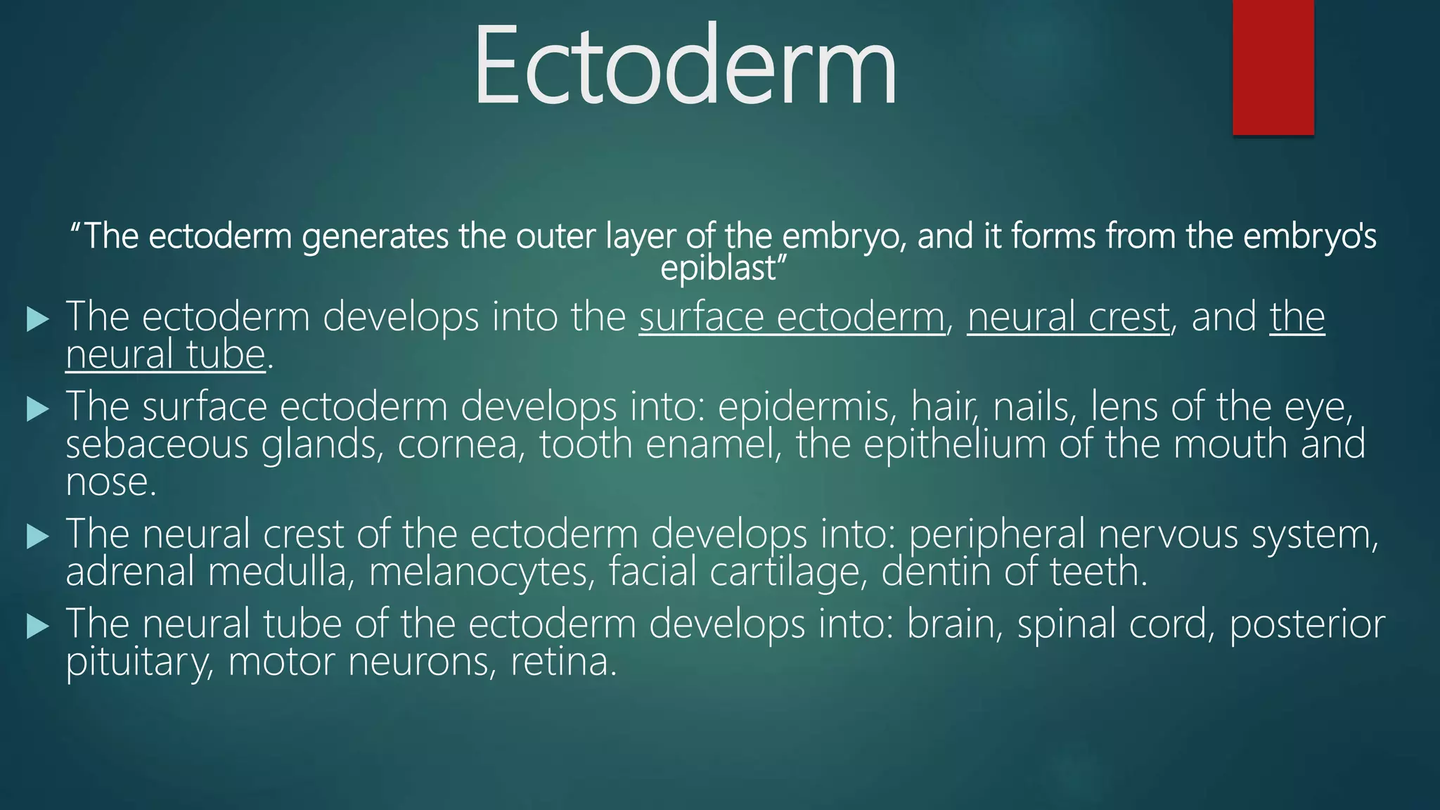 Developmental stages of embryo | PPTX