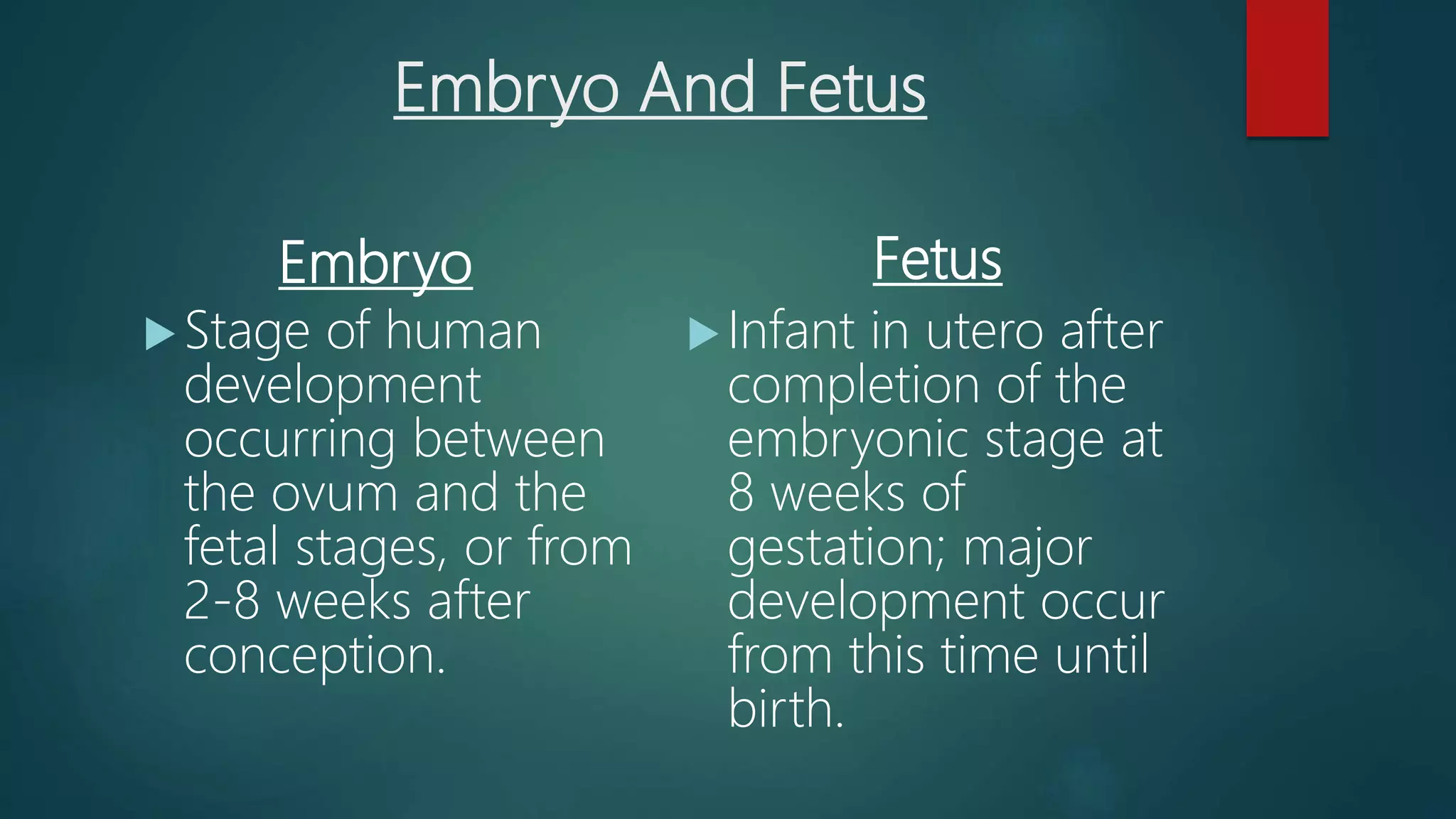 Developmental stages of embryo | PPTX