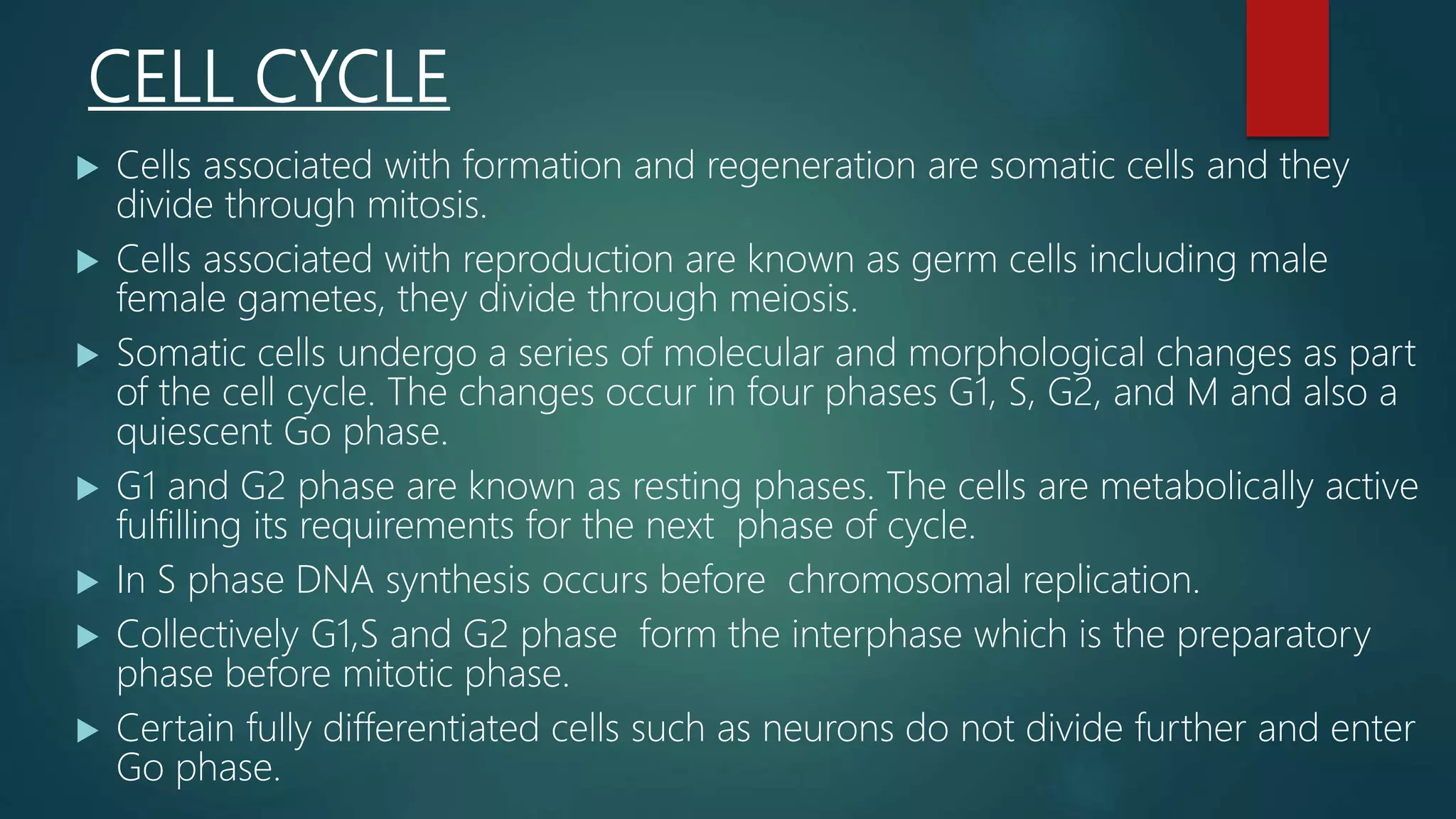 Developmental stages of embryo | PPTX