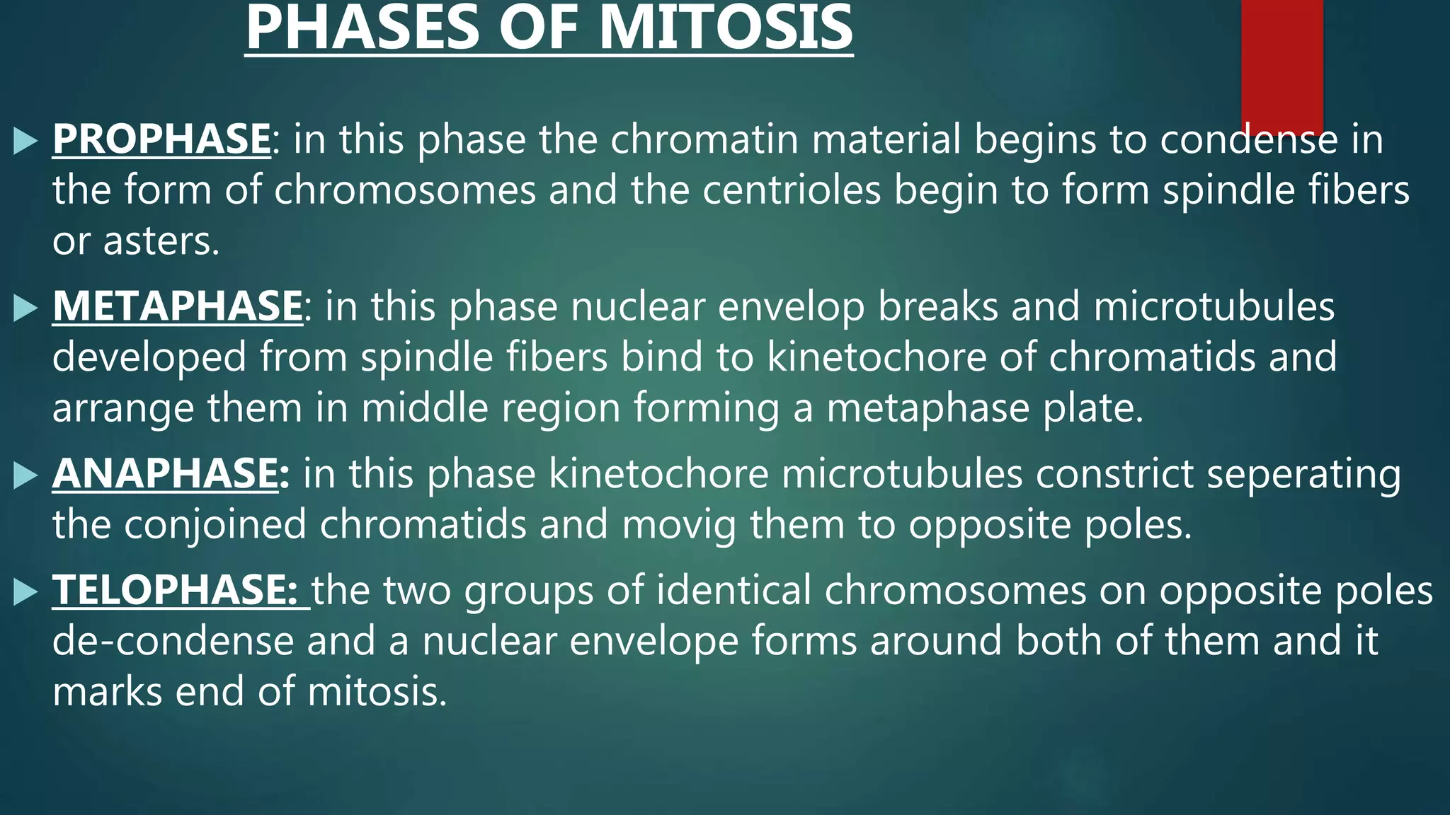 Developmental stages of embryo | PPTX