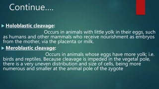 Developmental stages of embryo | PPT