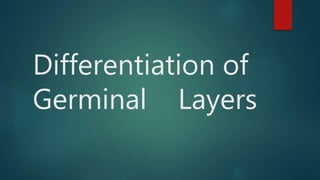 Developmental stages of embryo | PPT