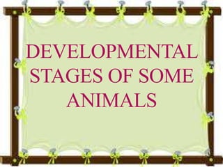 Developmental stages of some animals | PPTX
