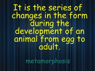 Developmental stages of some animals | PPT
