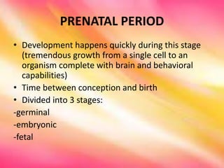 Santrock and Havighurst's Developmental Stages | PPTX