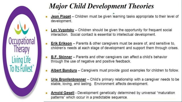 Lifespan Development - Child Development Theories
