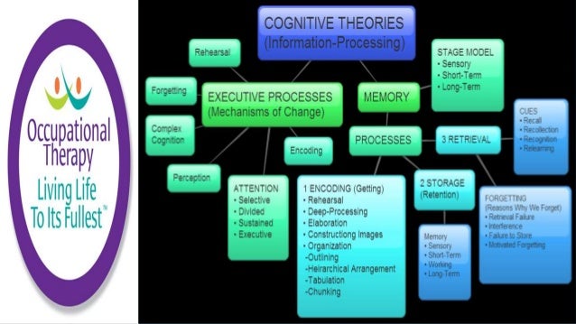 Lifespan Development - Child Development Theories