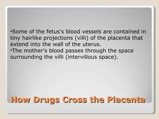 Developmental toxicology 18 nov-11-1 | PPT