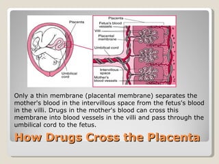 Developmental toxicology 18 nov-11-1 | PPT