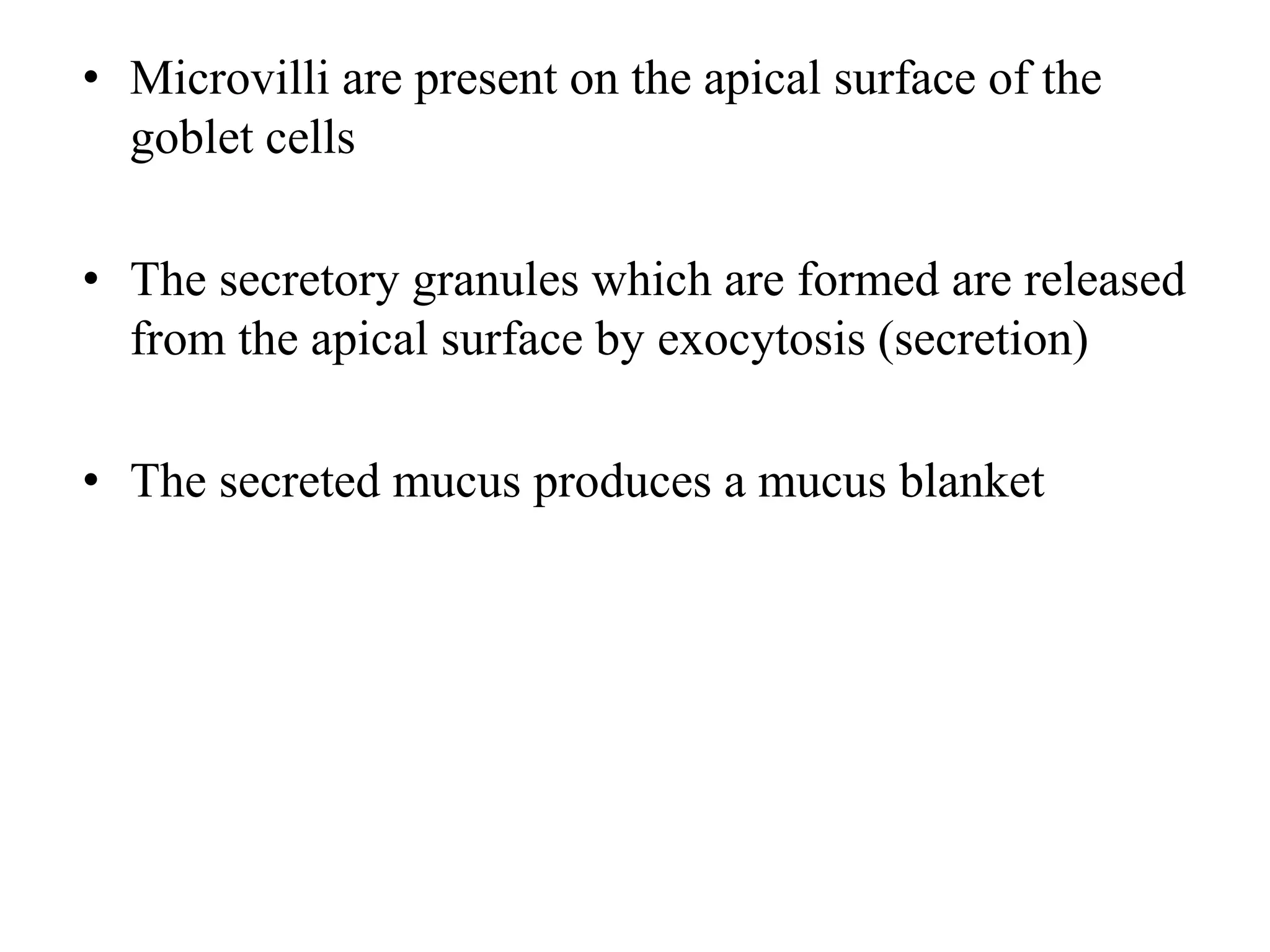 Development, Anatomy and Histology of Maxillary Sinus.pptx