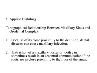 Development, Anatomy and Histology of Maxillary Sinus.pptx
