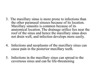 Development, Anatomy and Histology of Maxillary Sinus.pptx | Ear, Nose ...