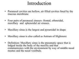 Development, Anatomy and Histology of Maxillary Sinus.pptx | Ear, Nose ...