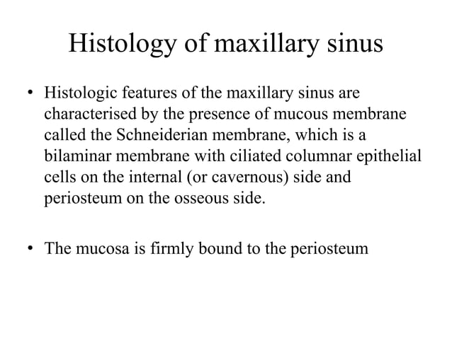 Development, Anatomy and Histology of Maxillary Sinus.pptx