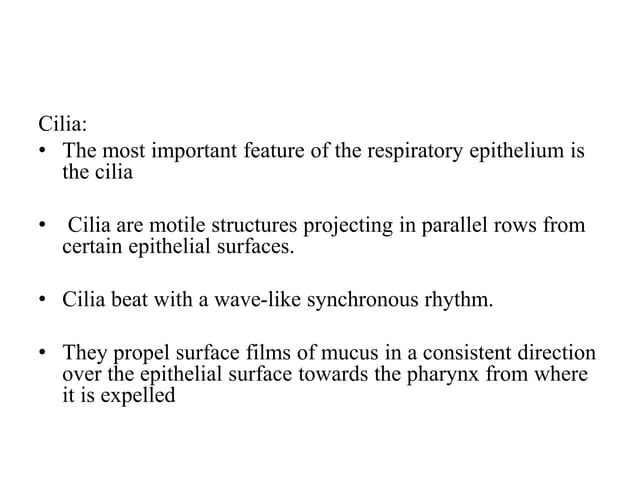 Development, Anatomy and Histology of Maxillary Sinus.pptx