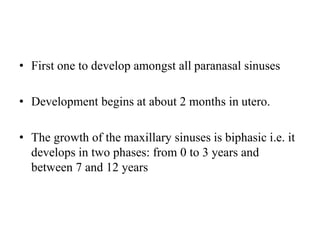 Development, Anatomy and Histology of Maxillary Sinus.pptx | Ear, Nose ...