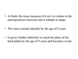 Development, Anatomy and Histology of Maxillary Sinus.pptx | Ear, Nose ...