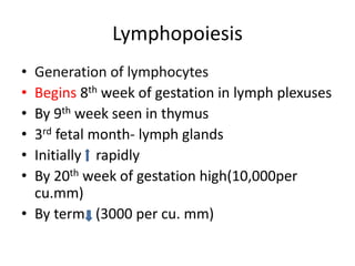 Development anatomy and physiology of haematopoiesis, hematological ...