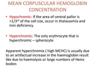 Development anatomy and physiology of haematopoiesis, hematological ...
